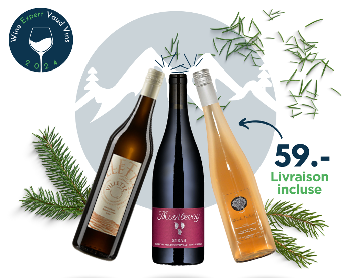 Découvrez les meilleurs vins vaudois sur vaudvins.ch